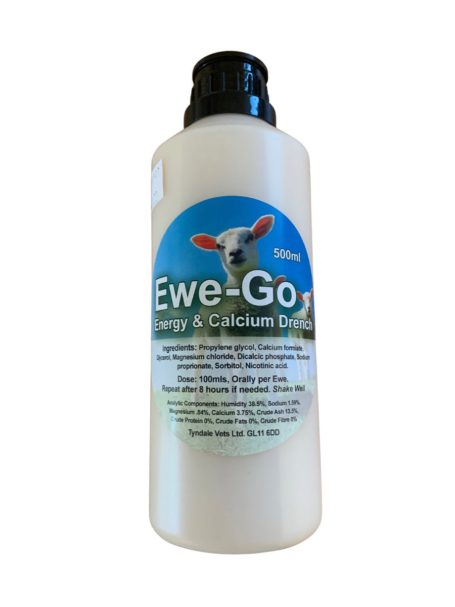 Ewe-Go – Tyndale Vets
