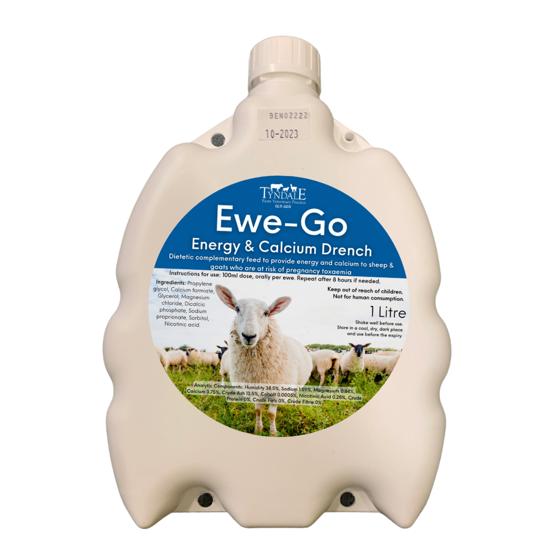 Ewe-Go – Tyndale Vets